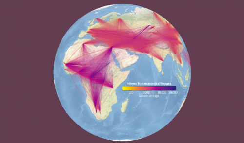 Genetics Researchers Fit 27 Million Ancestors into the Largest Ever ...