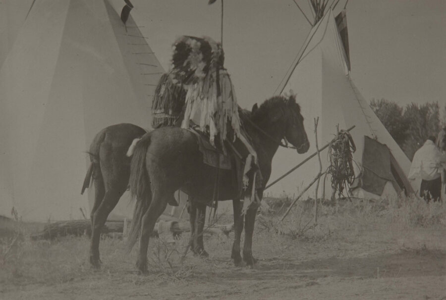 A Guide to Tracing Native American Ancestry - Family History Zone