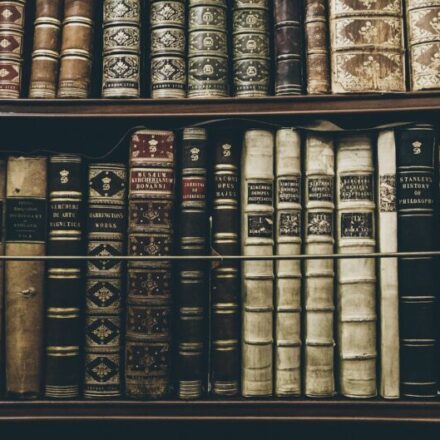 Walking Through History: The Fascinating Link Between Foot Shape and ...