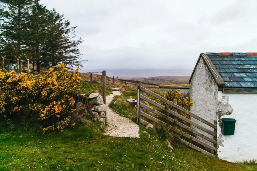Roots Ireland enhances Clare database with over 17,700 new genealogical ...